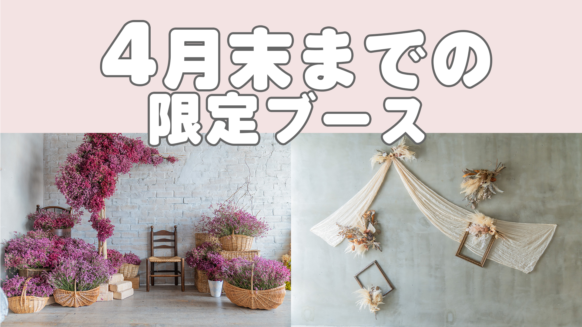 🌸季節限定ブース🌸 | 家族写真が大好き！沖縄の家族写真はスタジオココロ